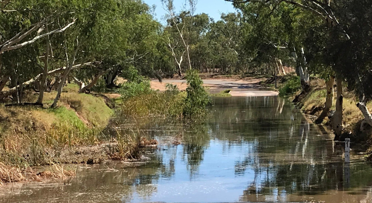 SHIRE OF IRWIN RECEIVES $5 MILLION UNDER THE BRIDGES RENEWAL PROGRAM ...